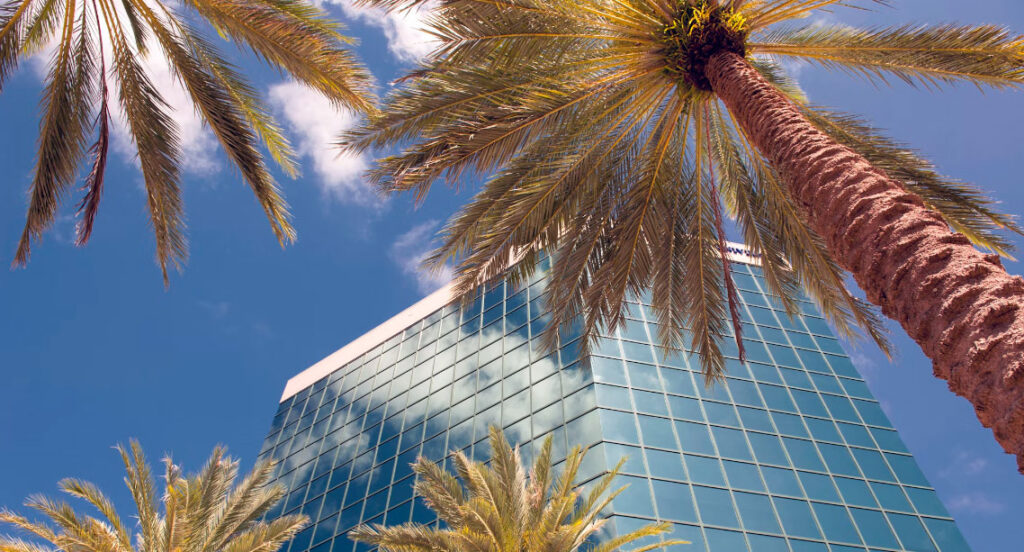 Fort Lauderdale Web Design Company - Web Design Services